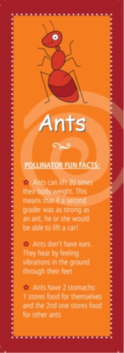 Pollinator Book Marks | Set of 6 | BBB Seed