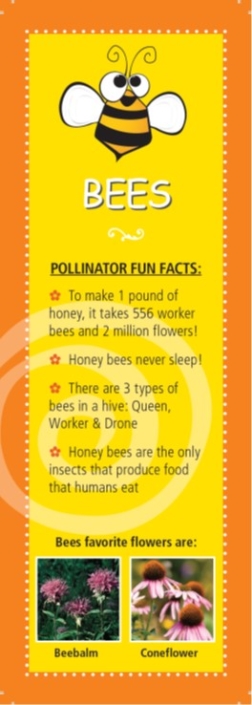 Pollinator Book Marks | Set of 6 | BBB Seed