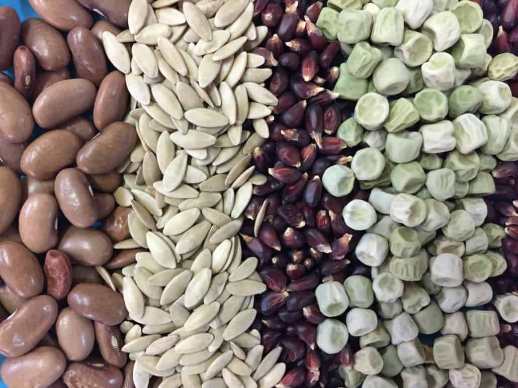 Seed Saving Archives | Wildflower Seeds