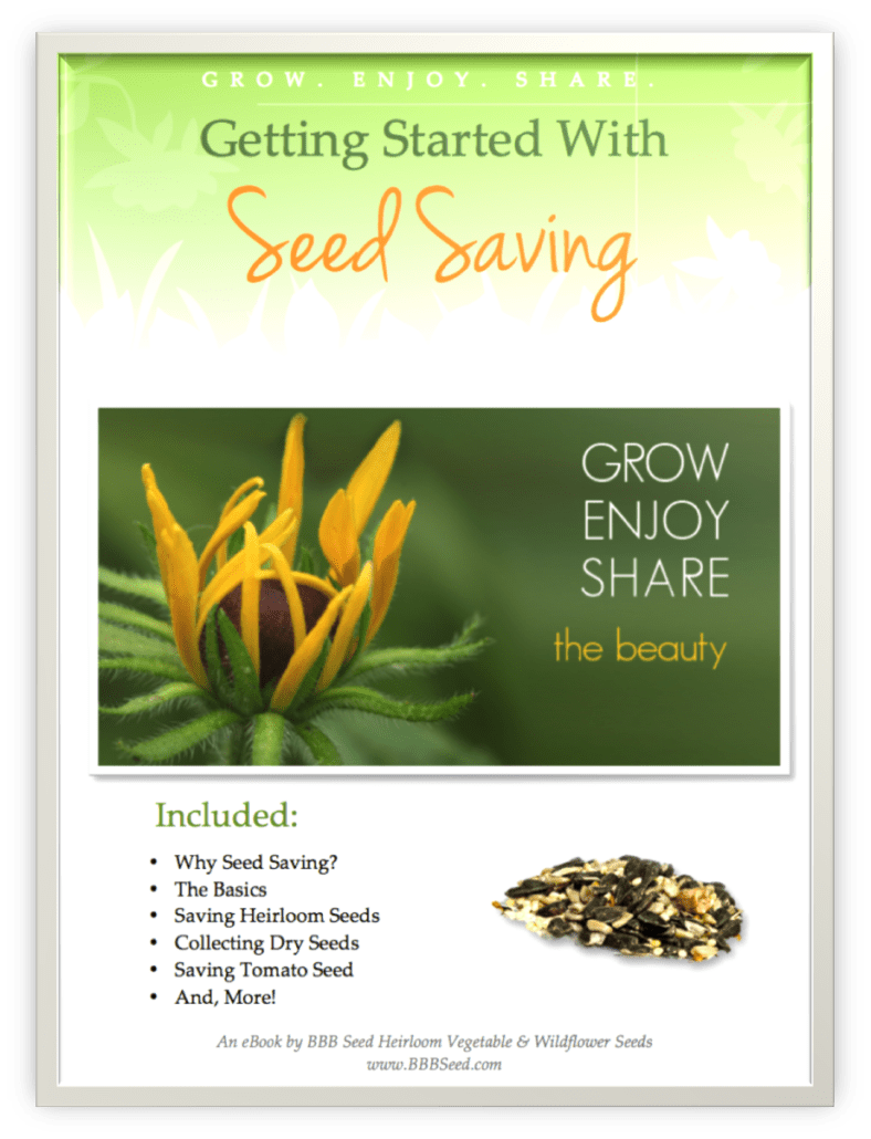 Getting Started With Seed Saving EGuide | BBB Seed