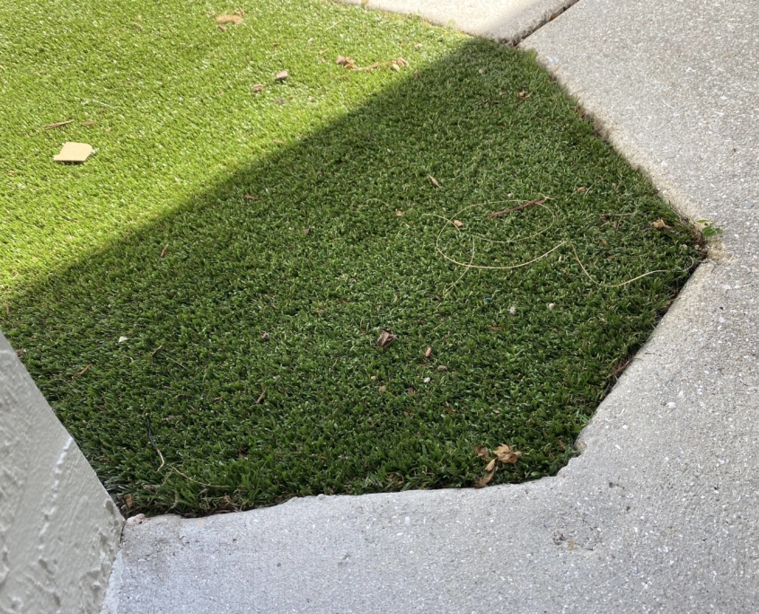 6 Sustainable Grass Alternatives That Look Fantastic